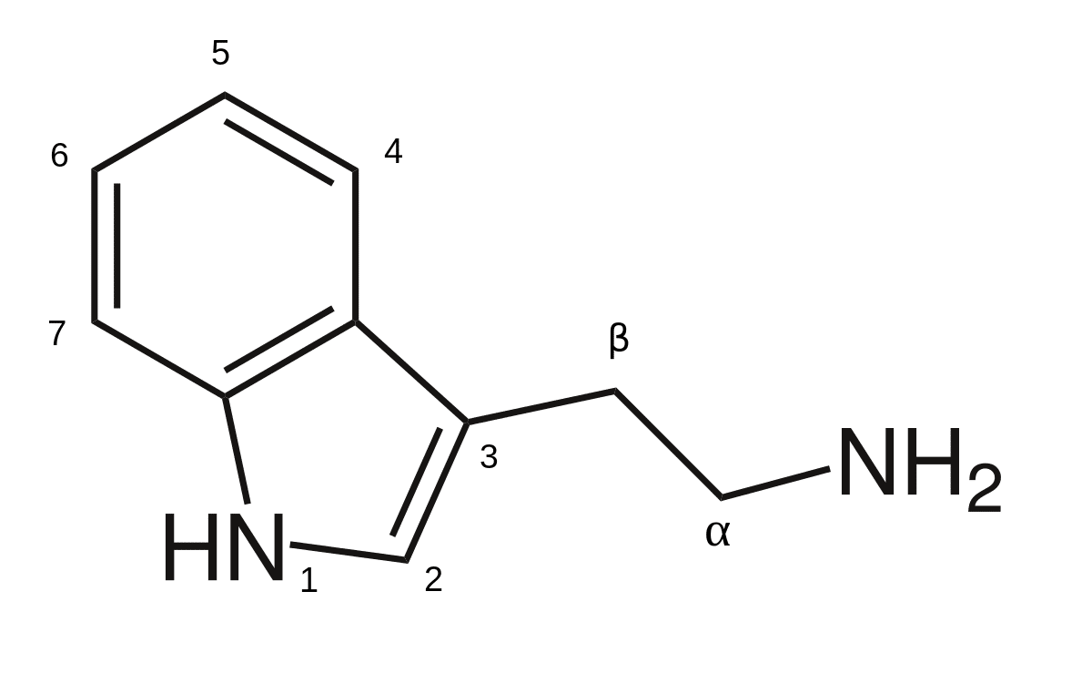 Un guide définitif sur les tryptamines en tant que drogues ...